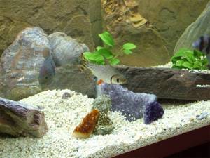 Цеолит: состав, свойства и применение минерала