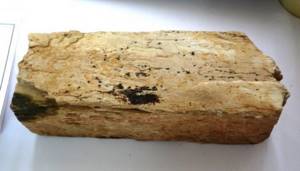 Spodumene stone: [photos, properties and varieties]